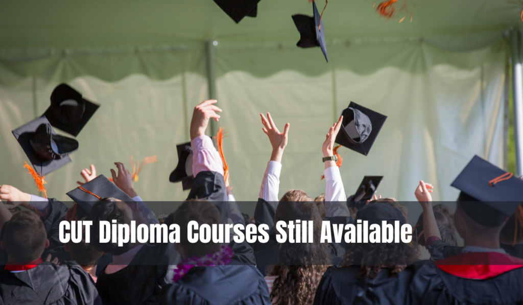 Cut Application Status Using Id Cut Status Check